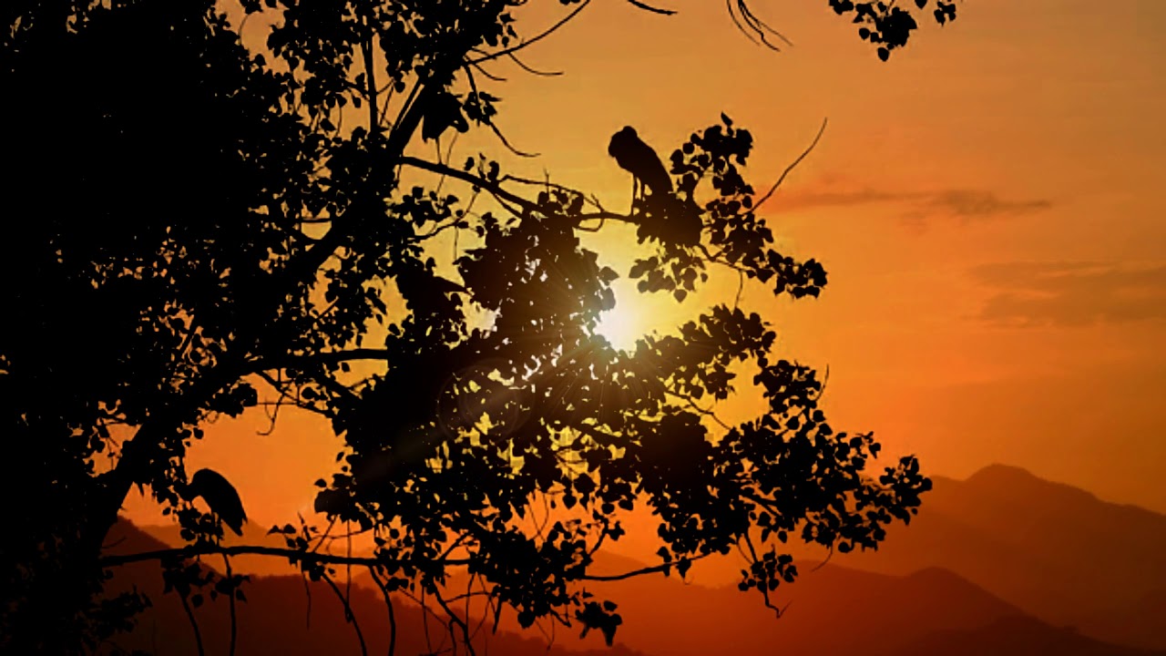 4K Videos (ULTRA HD) || Beautiful Nature || Background Videos || Non ...