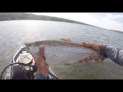 Unexpected Fat Trout at the Last Minute - YouTube