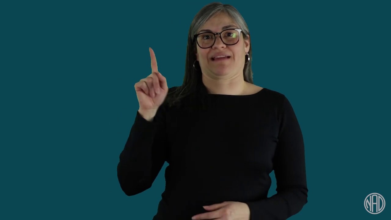 2018-2020 Priority Report on Sign Language Interpreting Profession ...