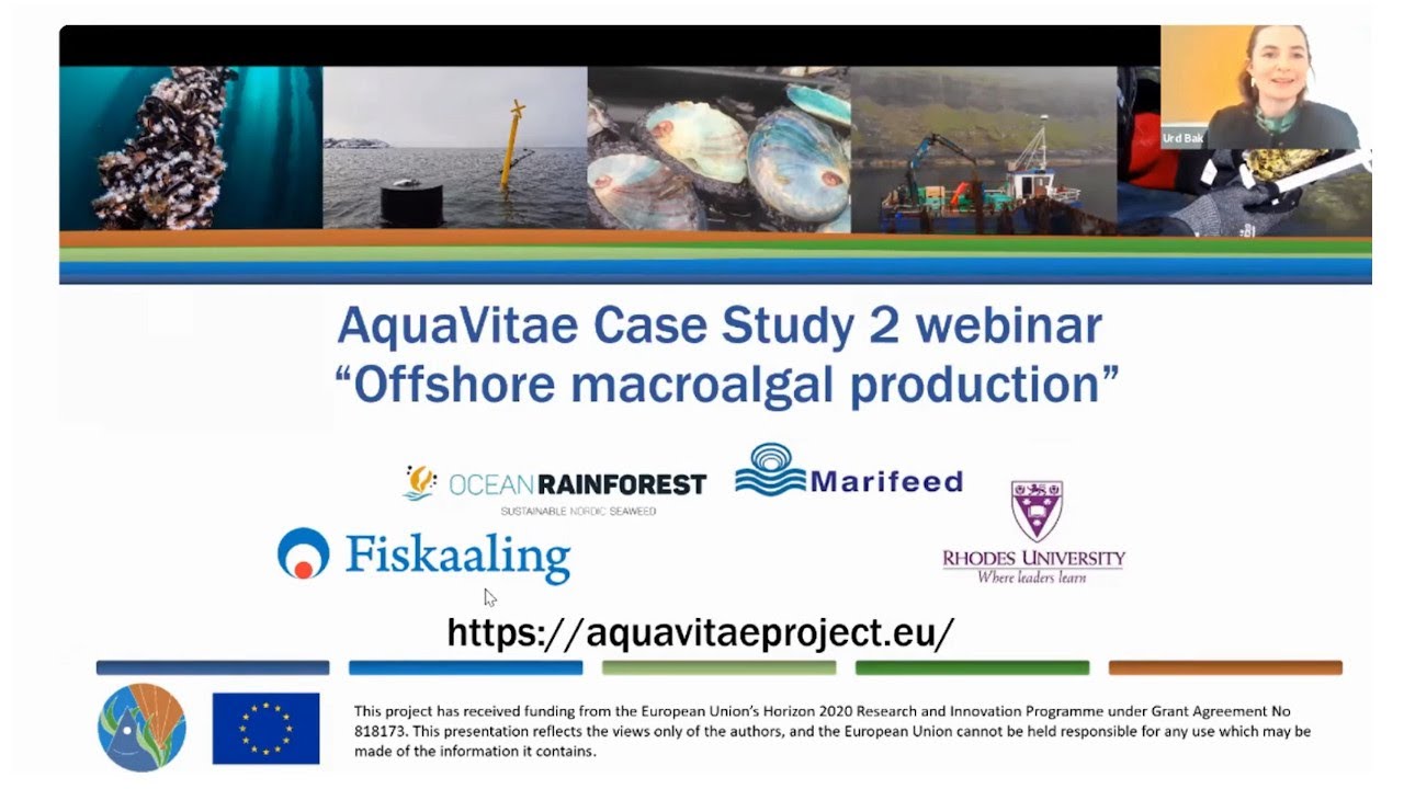 Case Study Meeting - Offshore Macroalgae Cultivation - YouTube