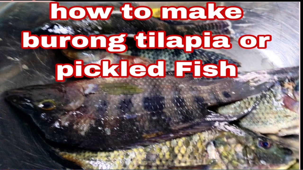 Burong Isda|pickled Fish authentic Pilipino dishes - YouTube