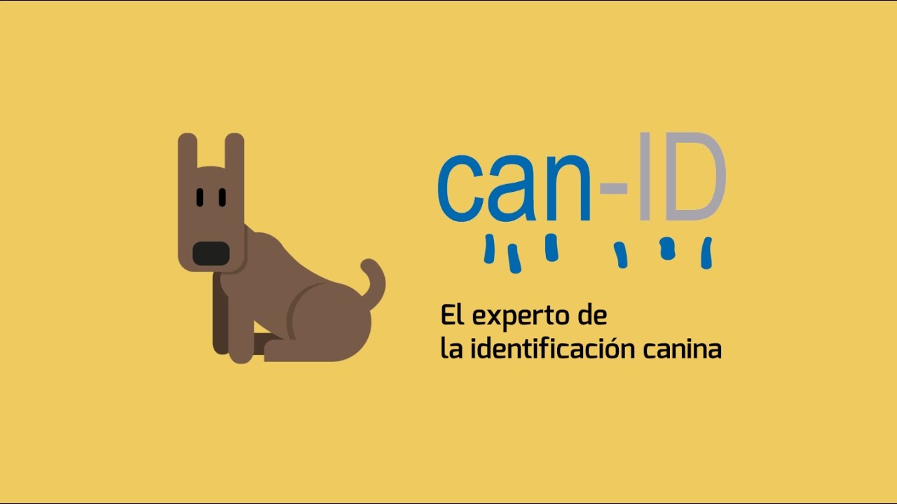 Can-ID, el experto de la identificación canina - Vídeo explicativo ...