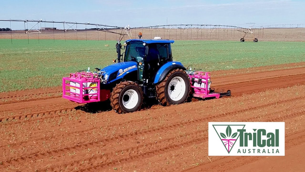 TriCal Australia - YouTube