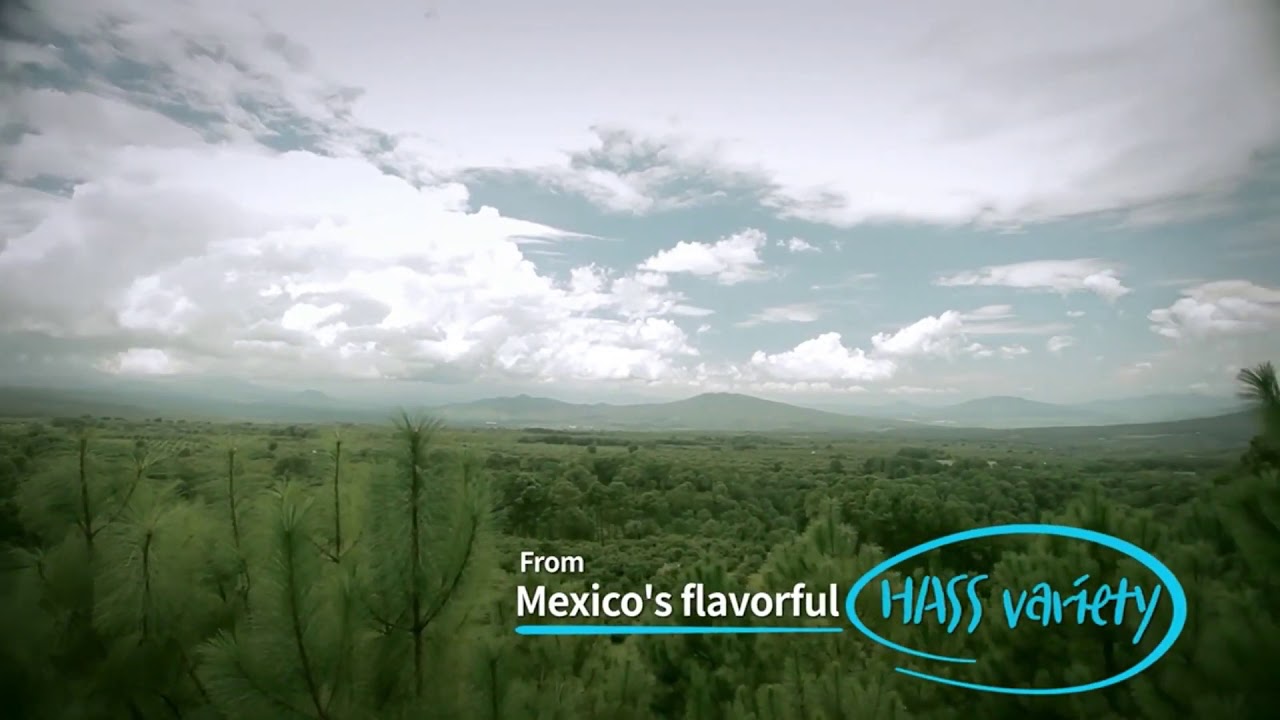 Atomy Avocado Oil - YouTube