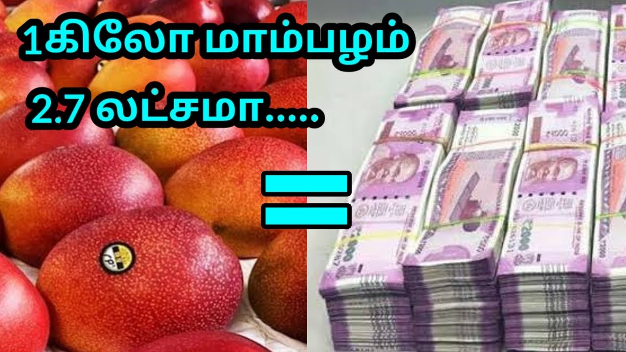 1 கிலோ மாம்பழம் 2.7 லட்சமா..!!! நம்ப முடியாத உண்மை |1 Kg mango worth of ...