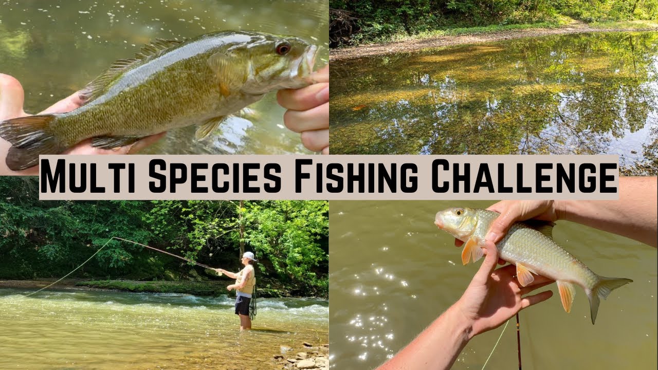 MULTI SPECIES FISHING CHALLENGE GONE WRONG - YouTube