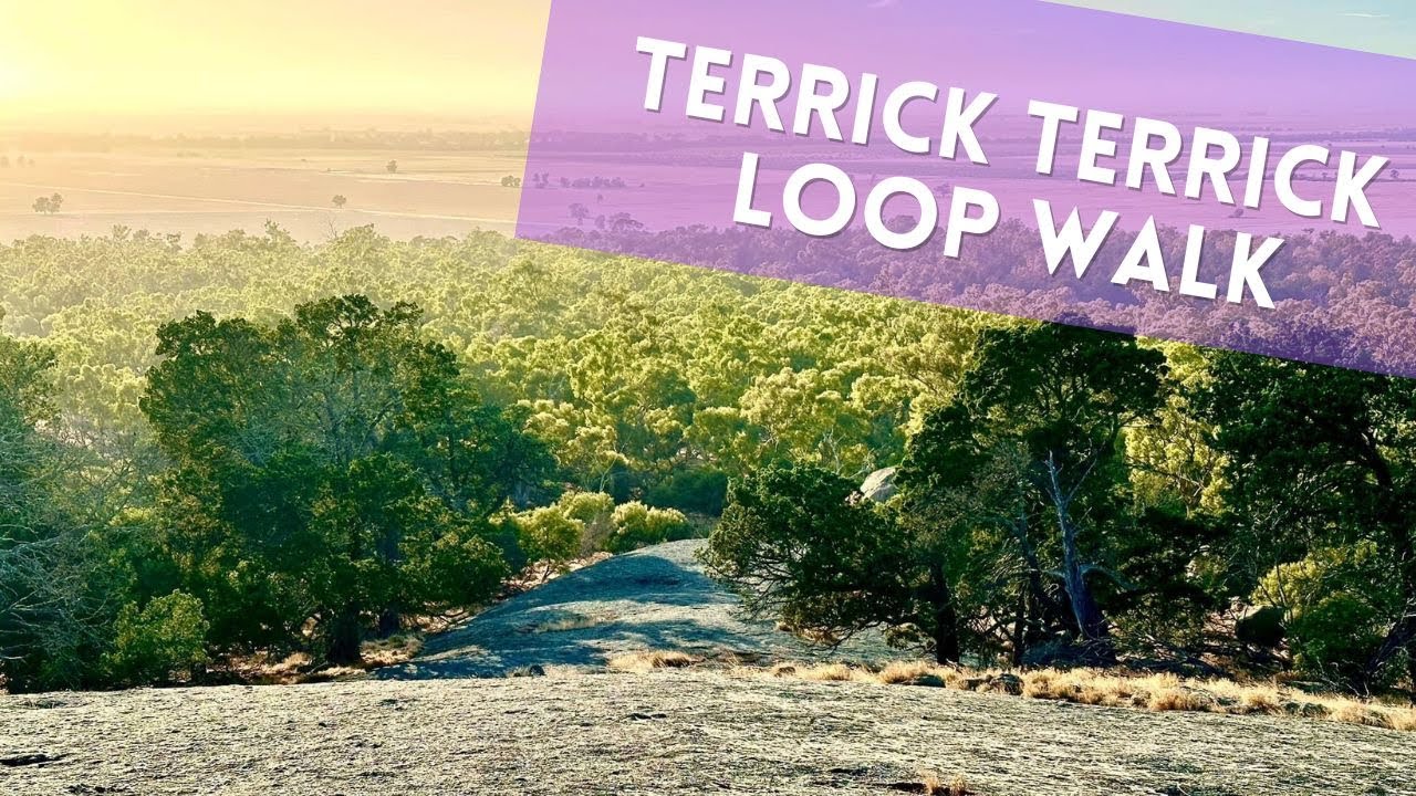 Terrick Terrick Loop Walk - Terrick Terrick National Park - YouTube