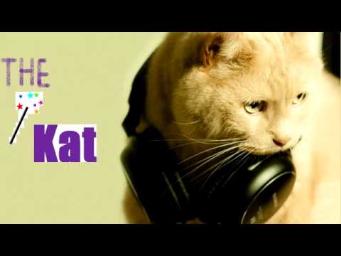 The Magic Kat - The Magic Kat - YouTube