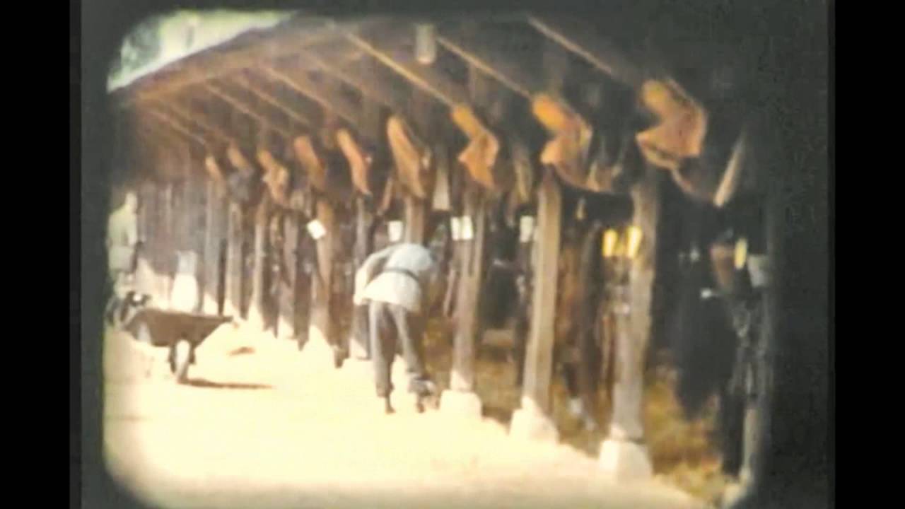 Militär 5 kamp 1959 - YouTube