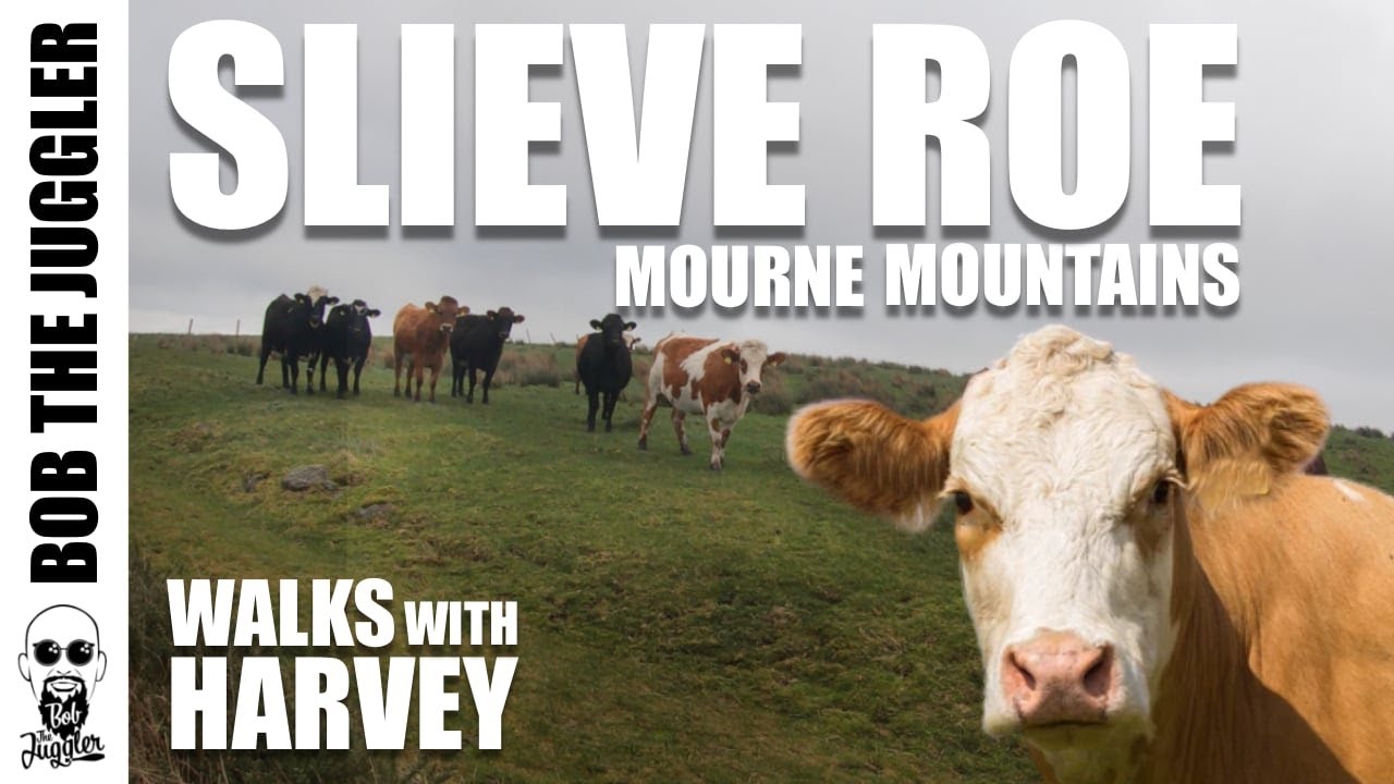 Walks with Harvey - Mourne Mountains, Slieve Roe - YouTube