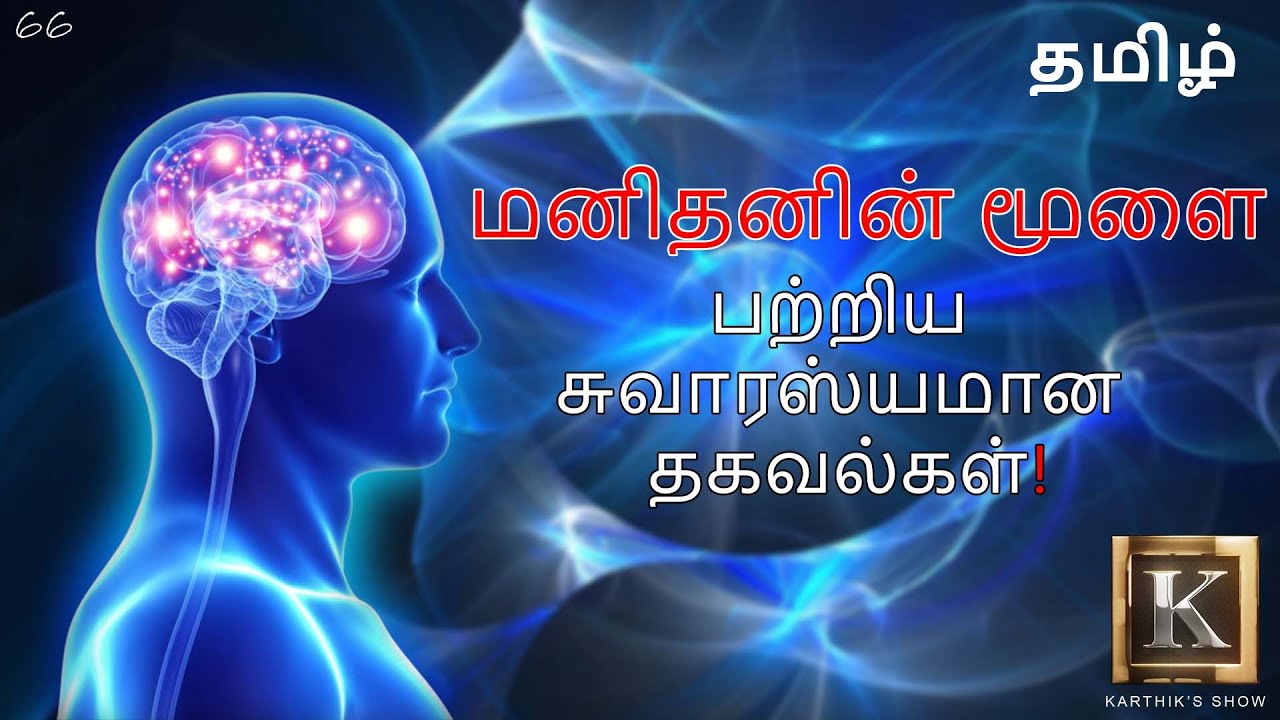 Interesting facts about Human Brain in Tamil | Human Brain facts in ...