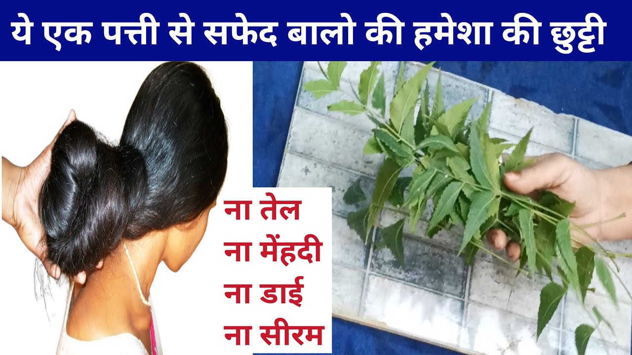 थक चुकेold Aunt apply Natural Dye Neem in Week covered all white Hair ...