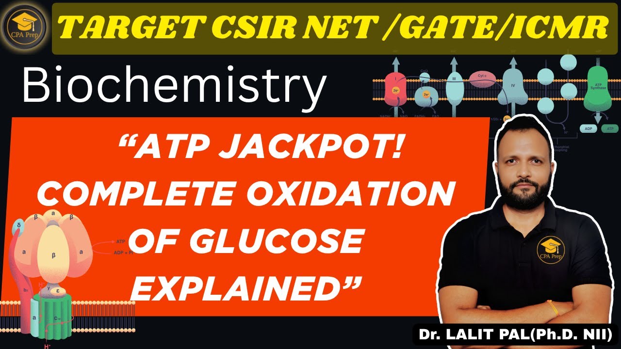 “ATP Jackpot! Complete Oxidation of Glucose Explained #drlalitpal # ...
