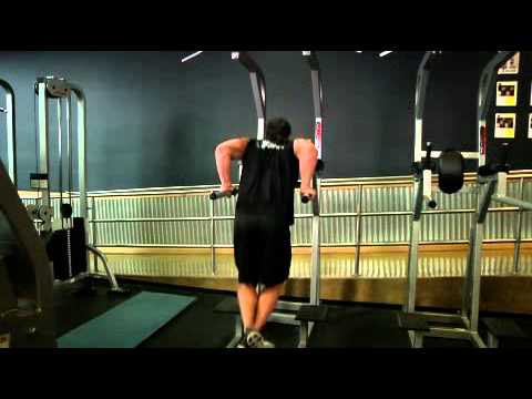 Dips Triceps Version Exercise Guide and Video - YouTube