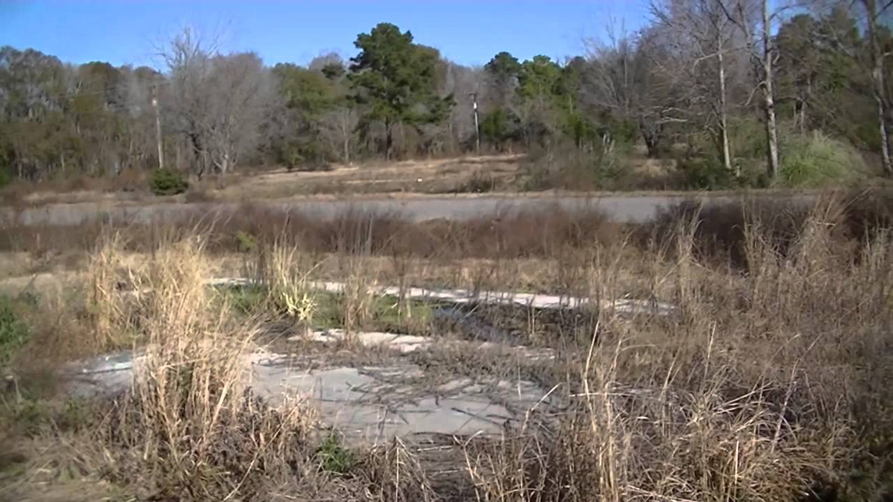 Trailwood Is Gone - YouTube