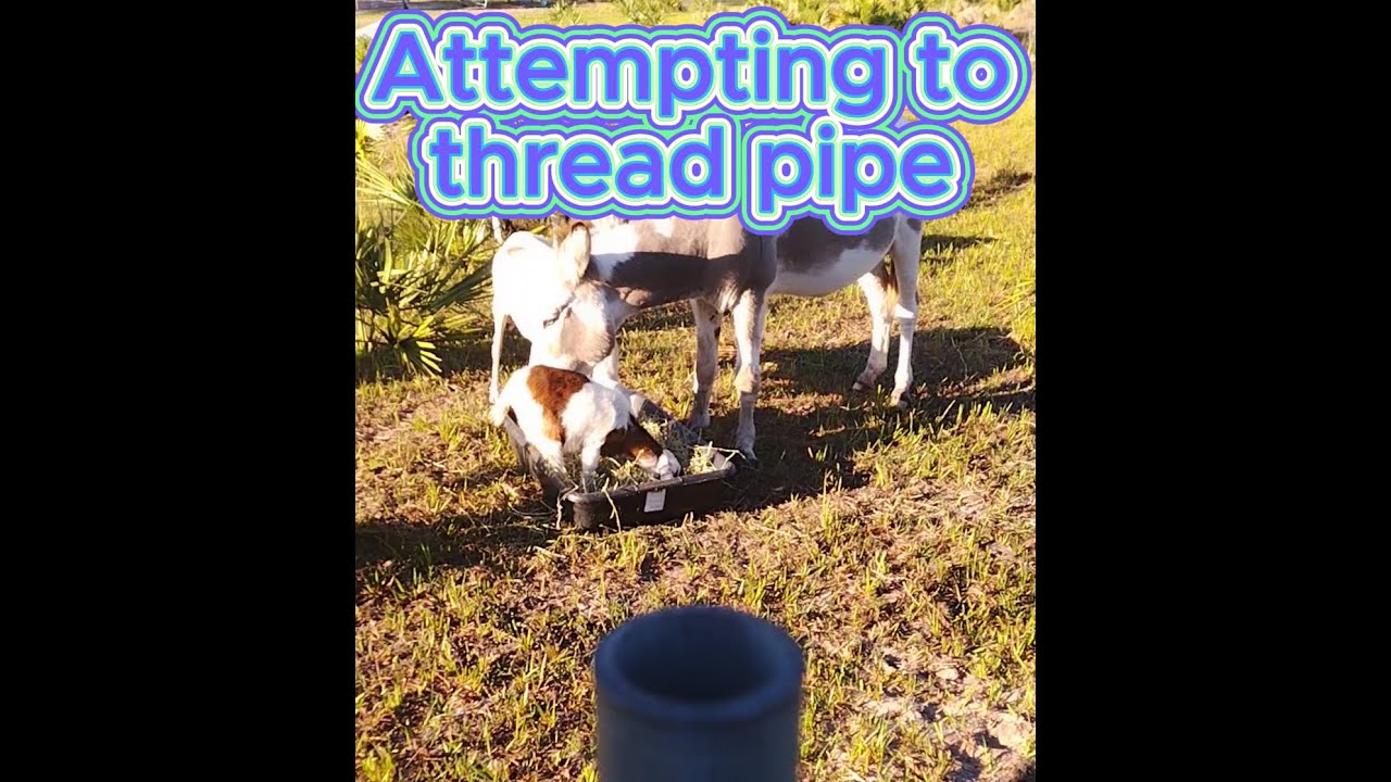 How to thread 1-1/4" galvanized well pipe part 1 - YouTube