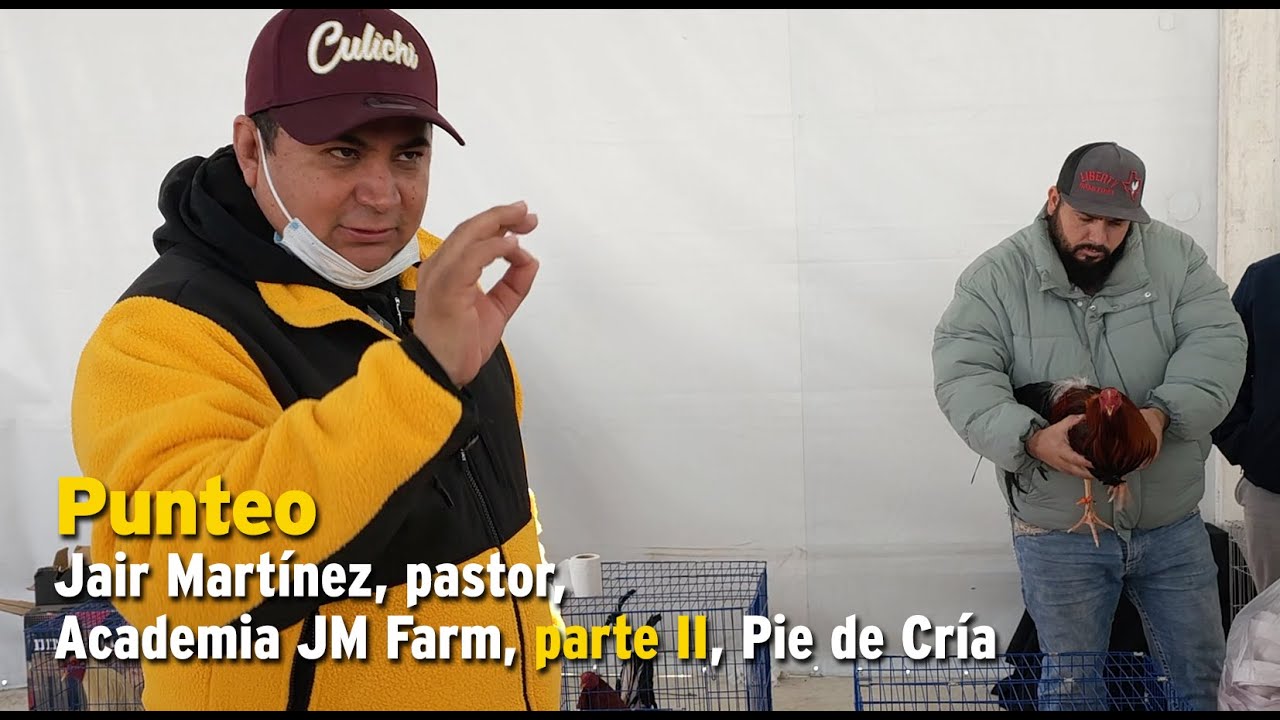 Punteo, Jair Martínez, pastor, Academia JM Farm, parte II, Pie de Cría ...