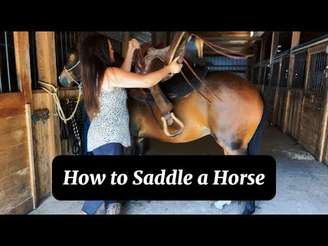 How to Saddle A Horse (Western) - YouTube