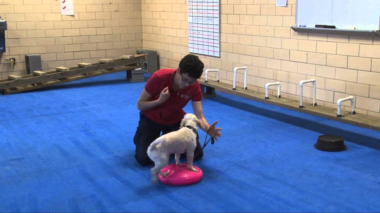 Side Stepping - YouTube