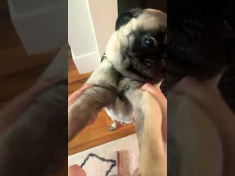 Cute Fred - YouTube