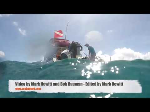 Conch Reef - Oct 4, 2019 -SCUBA Diving with Mark and Bob from the Conch ...