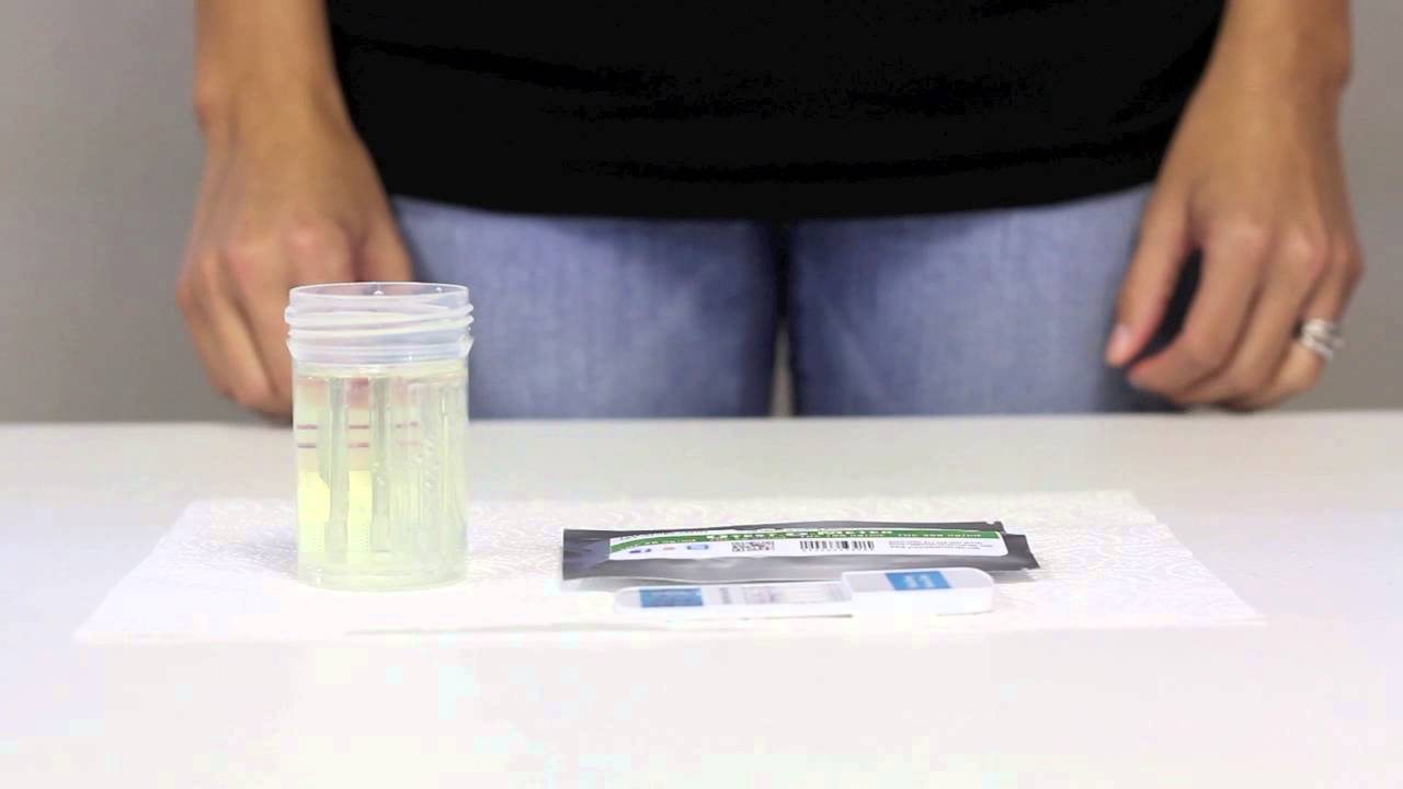 UTest How To Take A Drug Test - YouTube