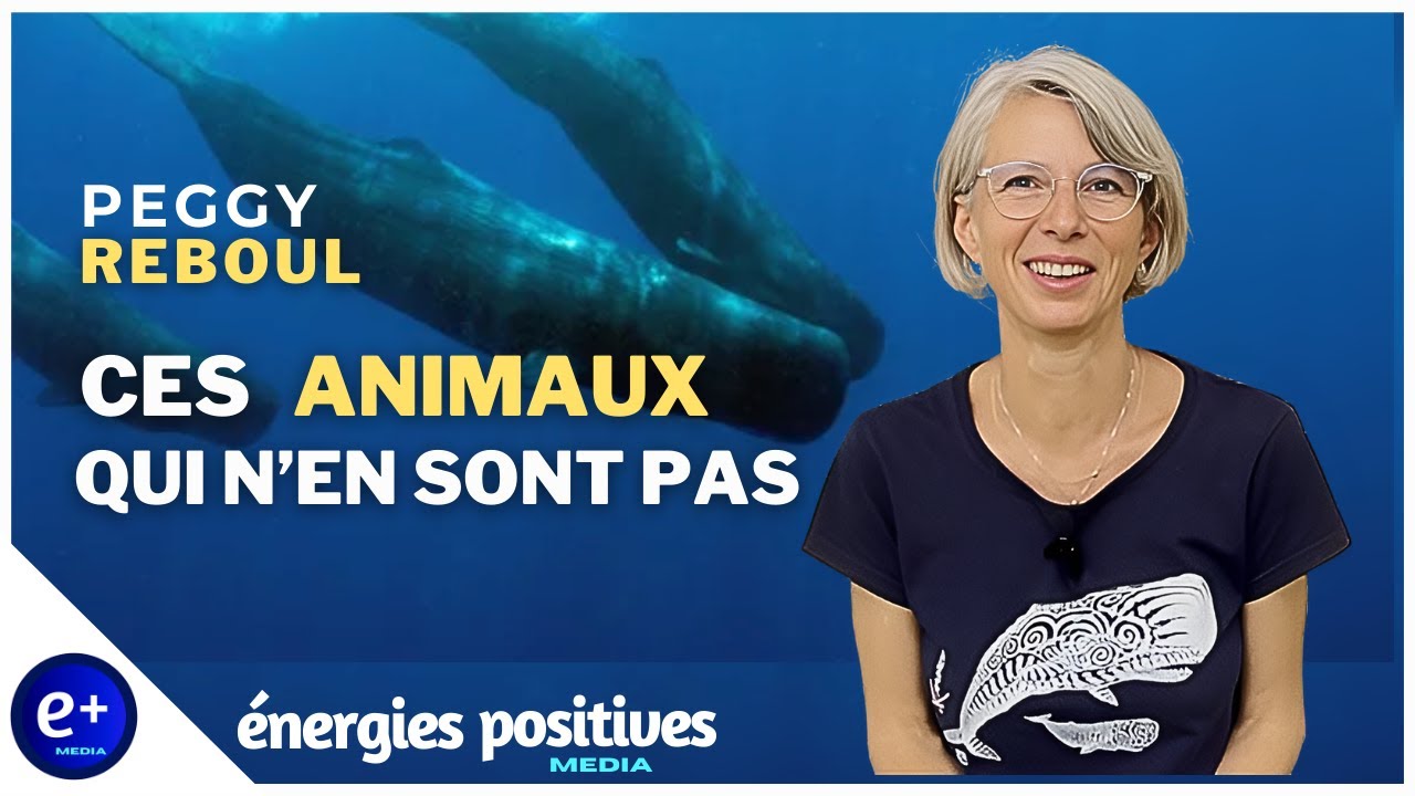 Ces ANIMAUX qui N'EN SONT PAS avec Peggy Reboul | Énergies Positives ...