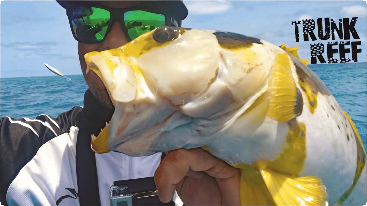 FISHING LUCINDA | Westin Swim At Trunk Reef. - YouTube