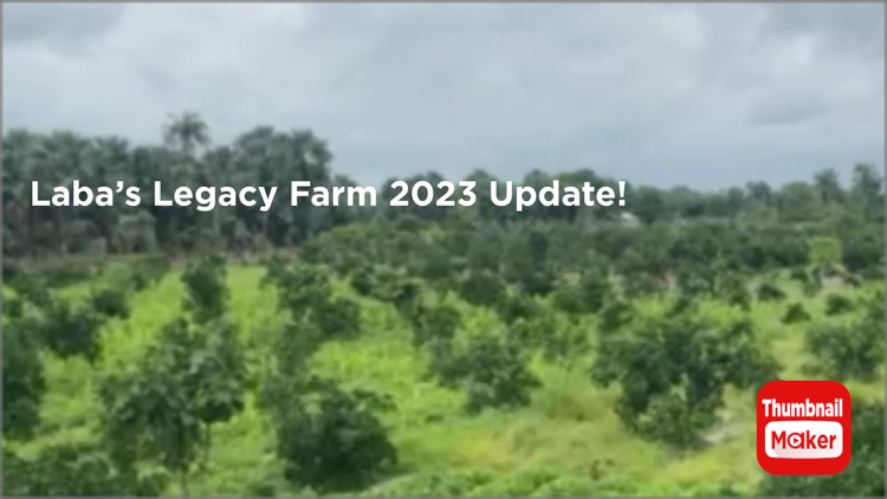 Laba’s Legacy Farm 2023 Update - YouTube