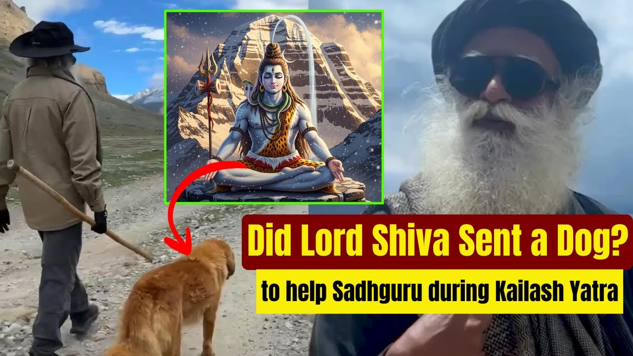 Did Lord Shiva Send a Dog to Help Sadhguru during Kailash Yatra ...