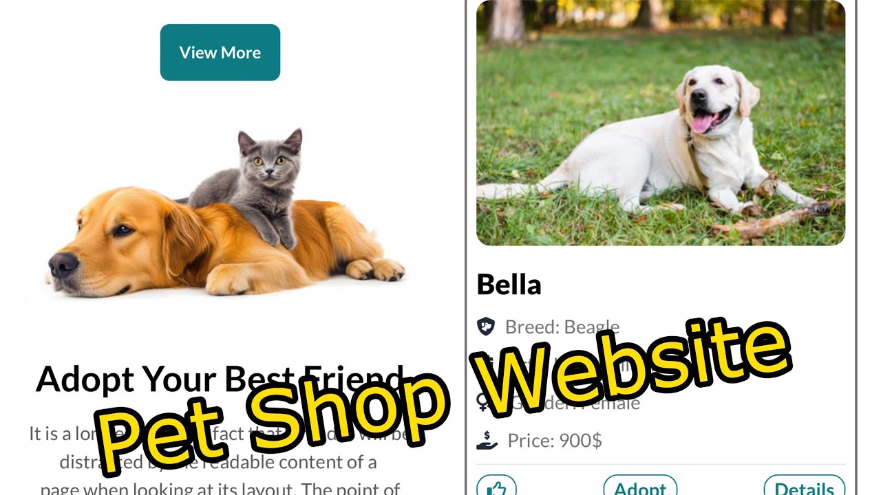 Pet shop website | Petifys | Html | JS | Github - YouTube