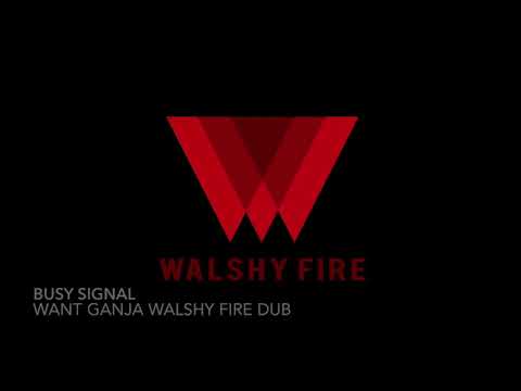 Busy Signal - Want Ganja Walshy Fire Dub - YouTube