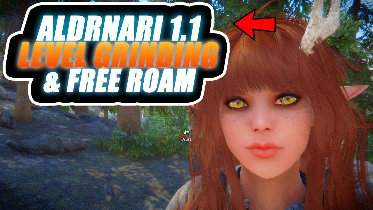 Skyrim Aldrnari 1.1 || 1700+ Mods || Level Grinding & Free Roam ...