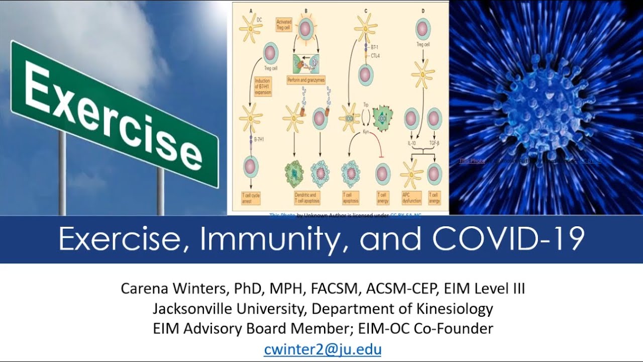 Exercise, Immunity, and COVID-19 - YouTube