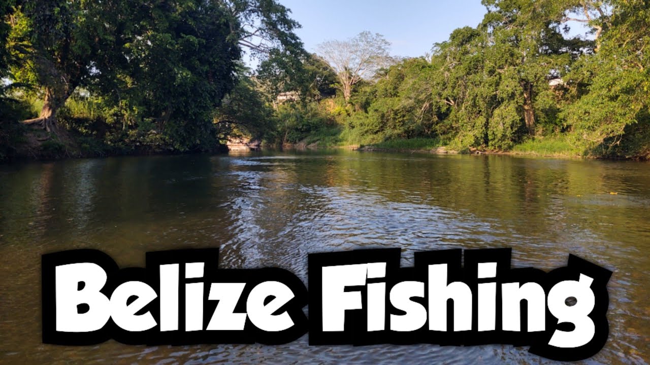 A Diverse Fishing Session on the Macal River | Belize Fishing 🇧🇿 - YouTube