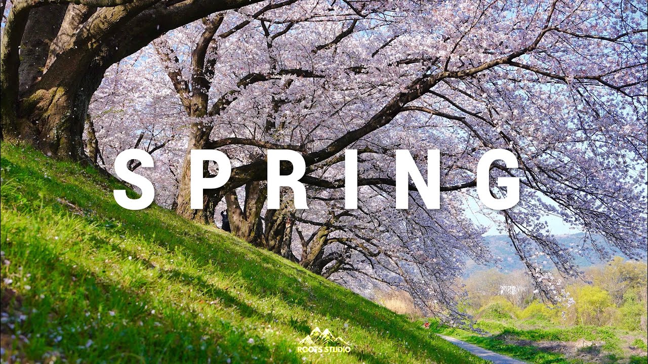 SPRING 🌸- Springtime Scenes With Relaxation Piano Music - 4K Ultra HD ...