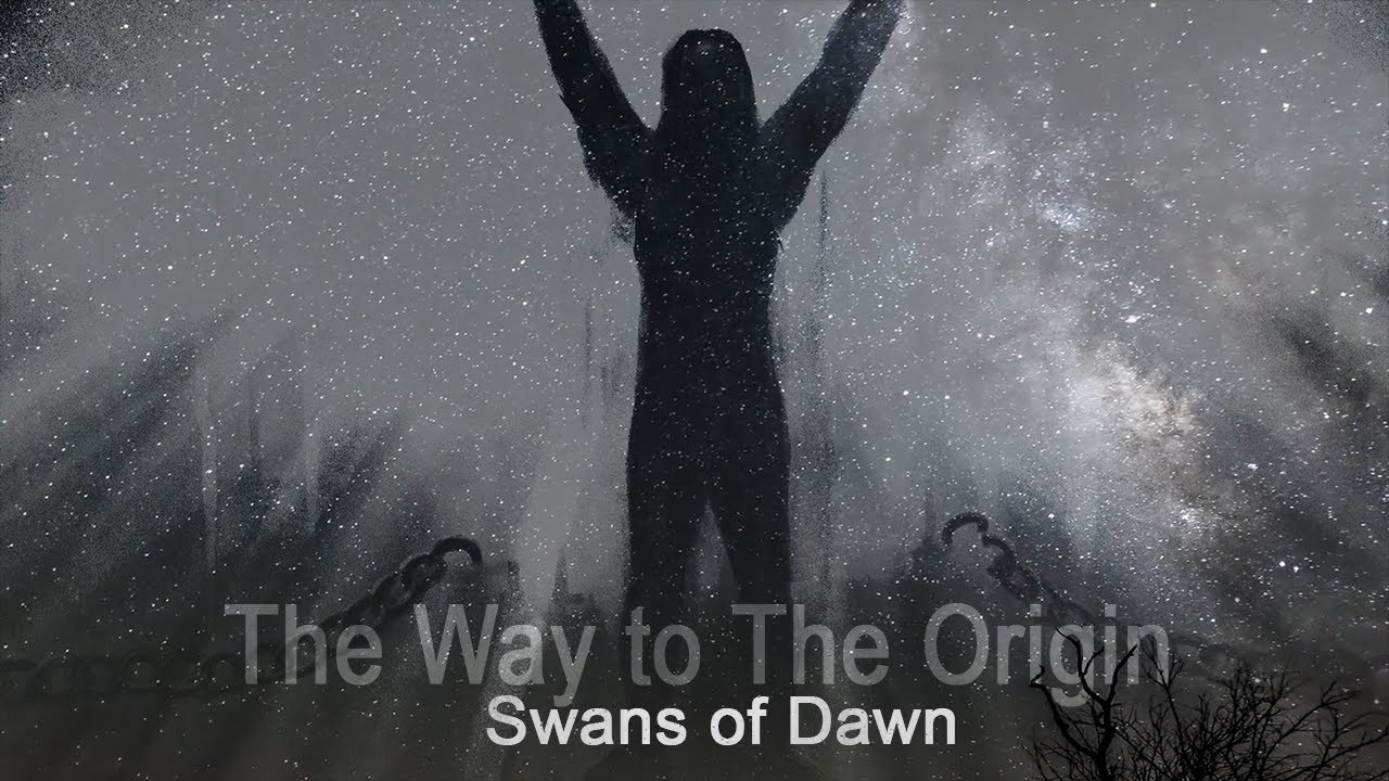 The Way to The Origin - Swans of Dawn - YouTube