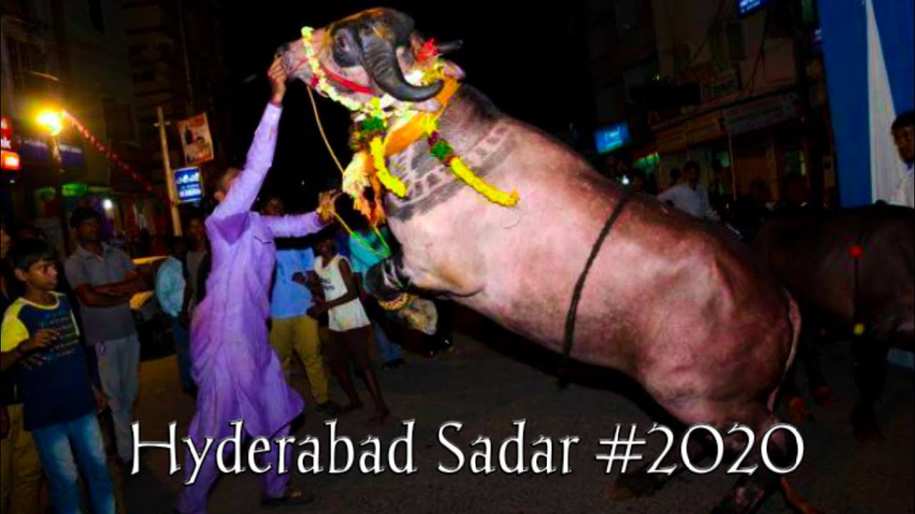 Laddu Yadav Sadar 2020||Hyderabad Sadar 2020||Sadar Songs||Laddu Yadav ...