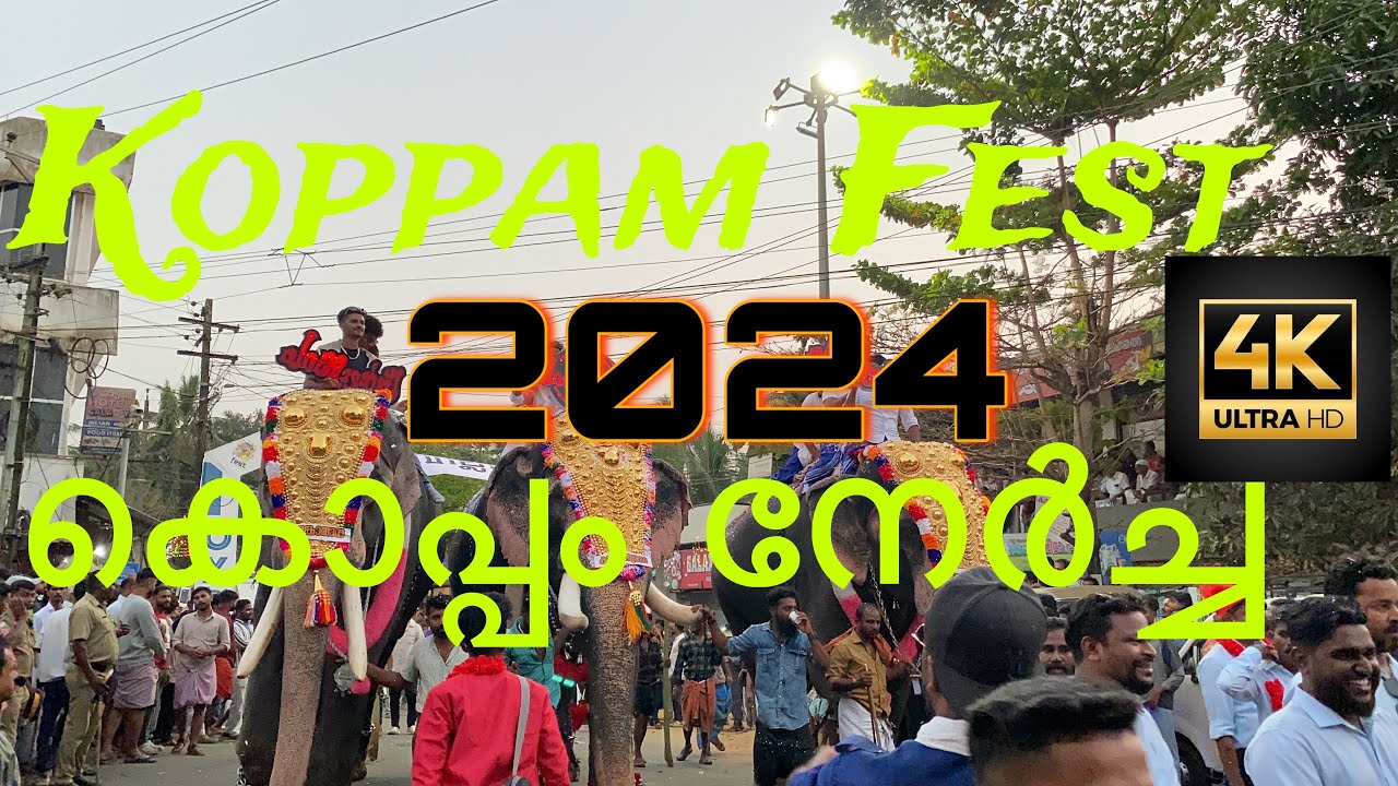 Koppam Fest Nercha 2024 | കൊപ്പം ഫെസ്റ്റ് 2024 #elephant #koppamfest ...