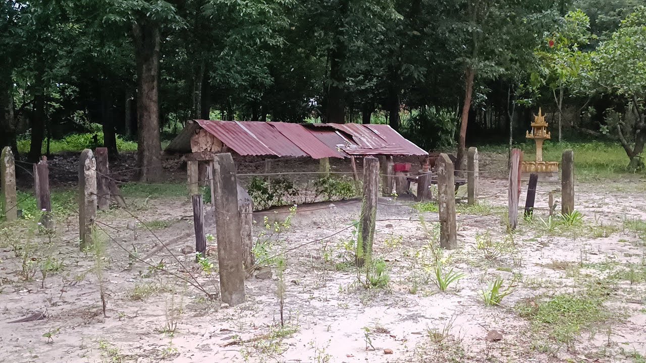 พอลพต ผู้นำเขมรแดง สถานที่เผาศพ พล พต ผู้นำเขมรแดง POL POT'S CREMATION ...