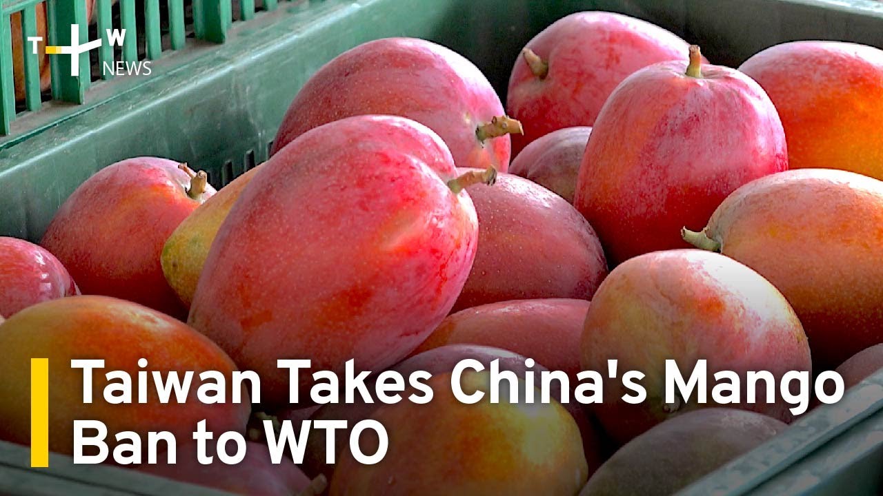 Taiwan Takes China's Mango Ban to WTO | TaiwanPlus News - YouTube