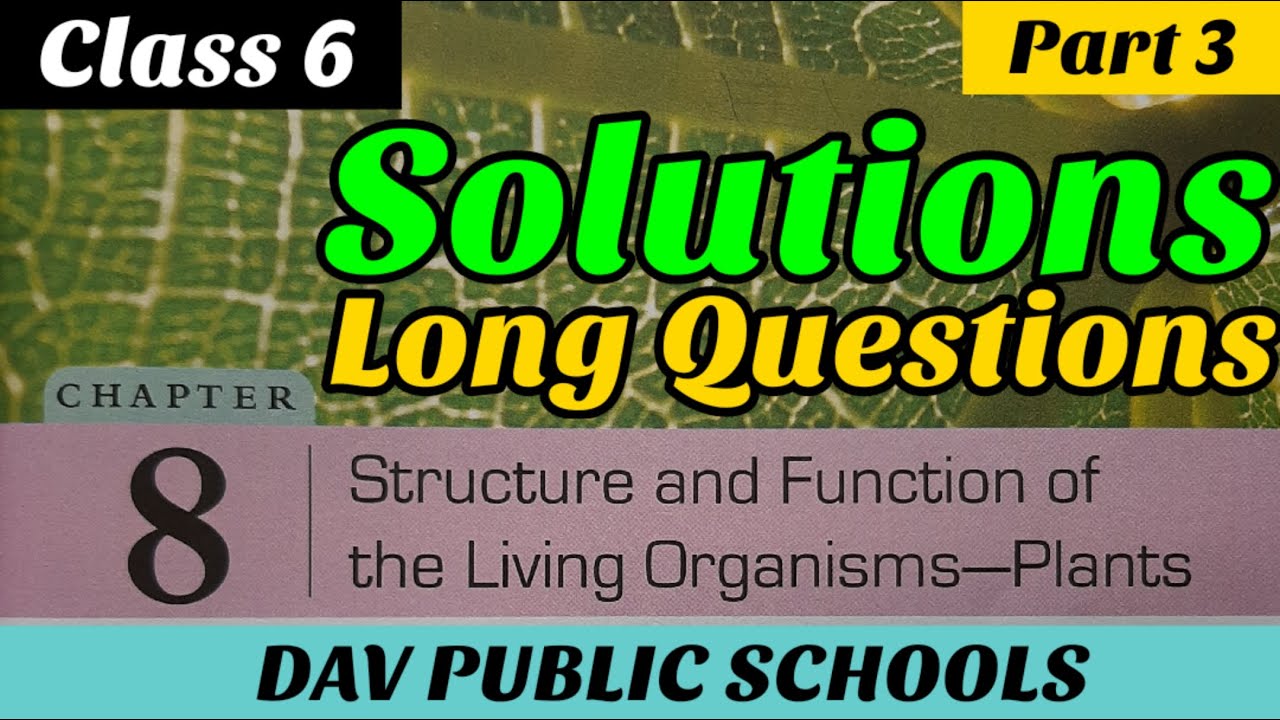 DAV class 6 Science chapter 8 solutions - YouTube