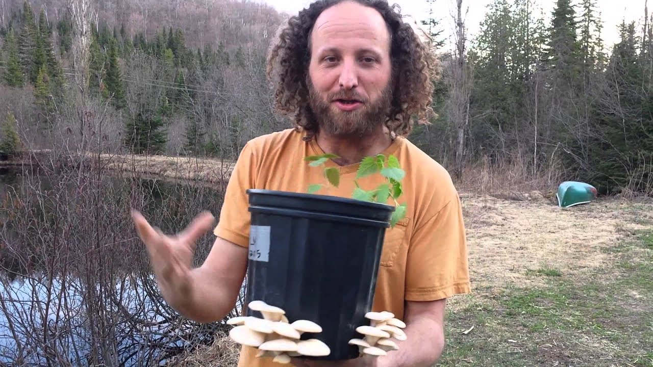 Le nouveau Fun Gi Pot - YouTube