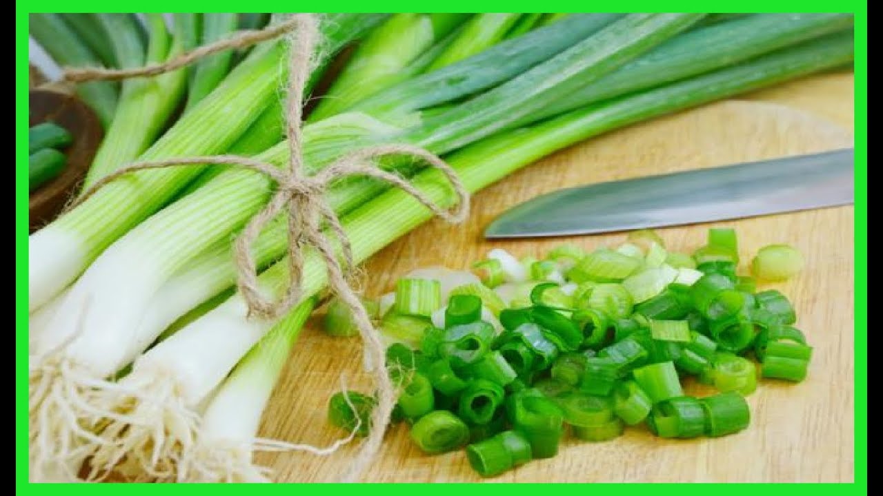Propiedades y Beneficios de Cebollín Para la Salud - YouTube