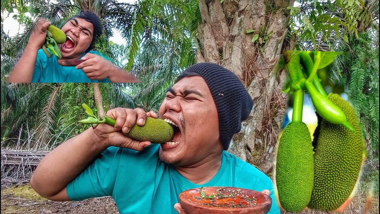 #44 Gokill?? Rujak Babal Nangka/Tongtolang Nangka, Mulut penuh Getah ...