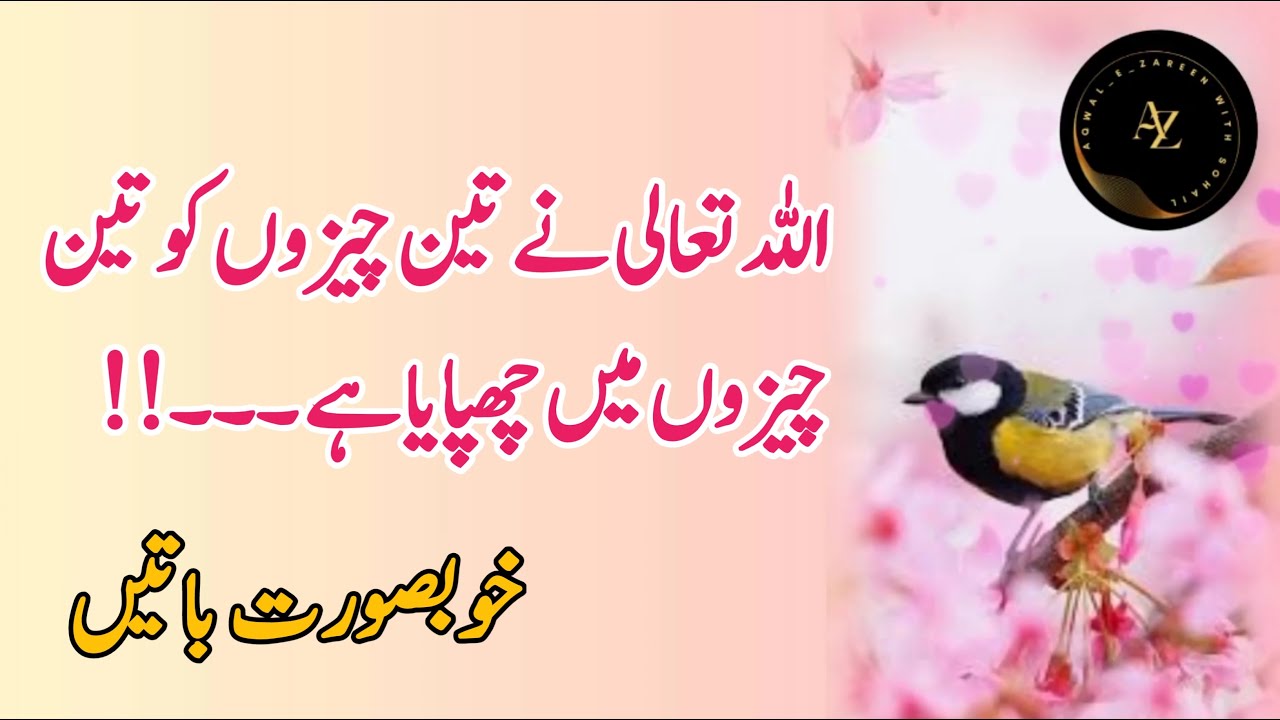Allah has hidden three things in three things... | Islamic quotes |# ...