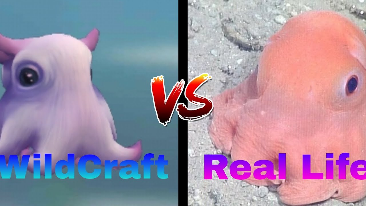 WildCraft: Ocean world pets in real life - YouTube