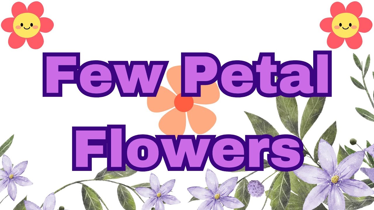Flowers with few Petals | Flowers Have few Petals | FLOWERS of the ...
