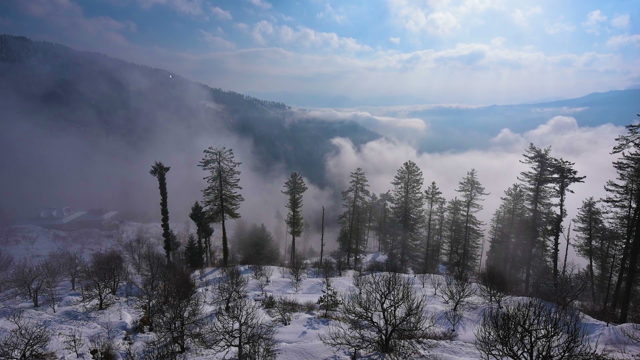Soulful Winter Timelapse | 4K | HPTDC @ Kharapathar | Shimla | - YouTube