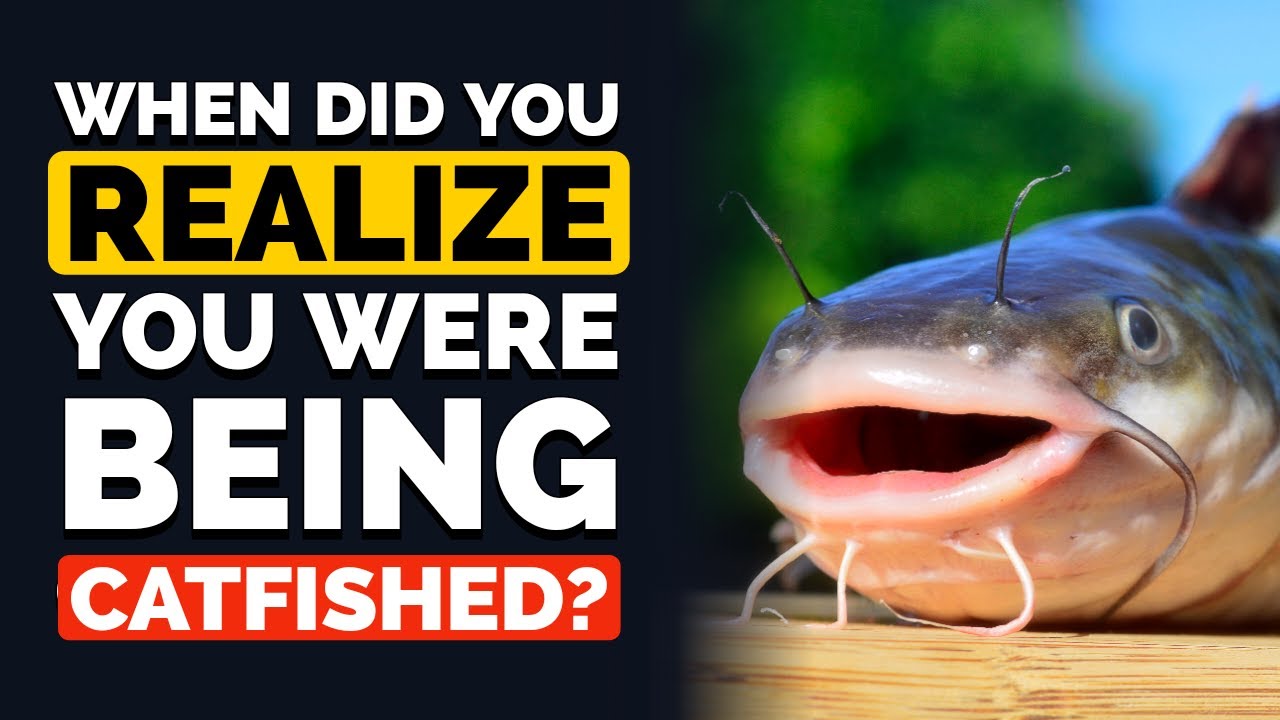 When Did You Realize You Were Being CATFISHED? - YouTube
